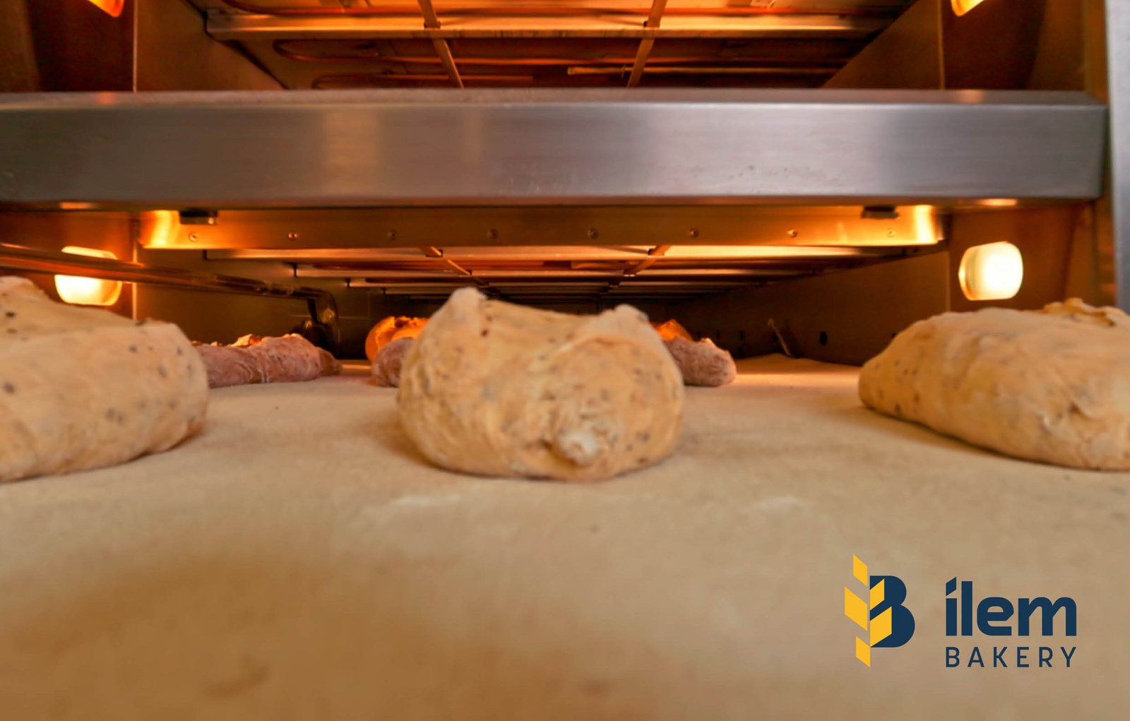 Work smarter, not harder - Horeca International